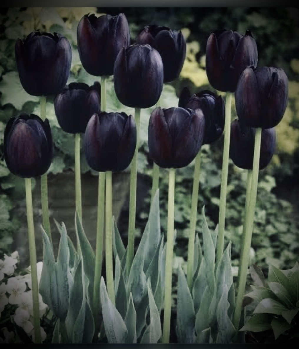 Ano letivo - Maria Clara Mattos